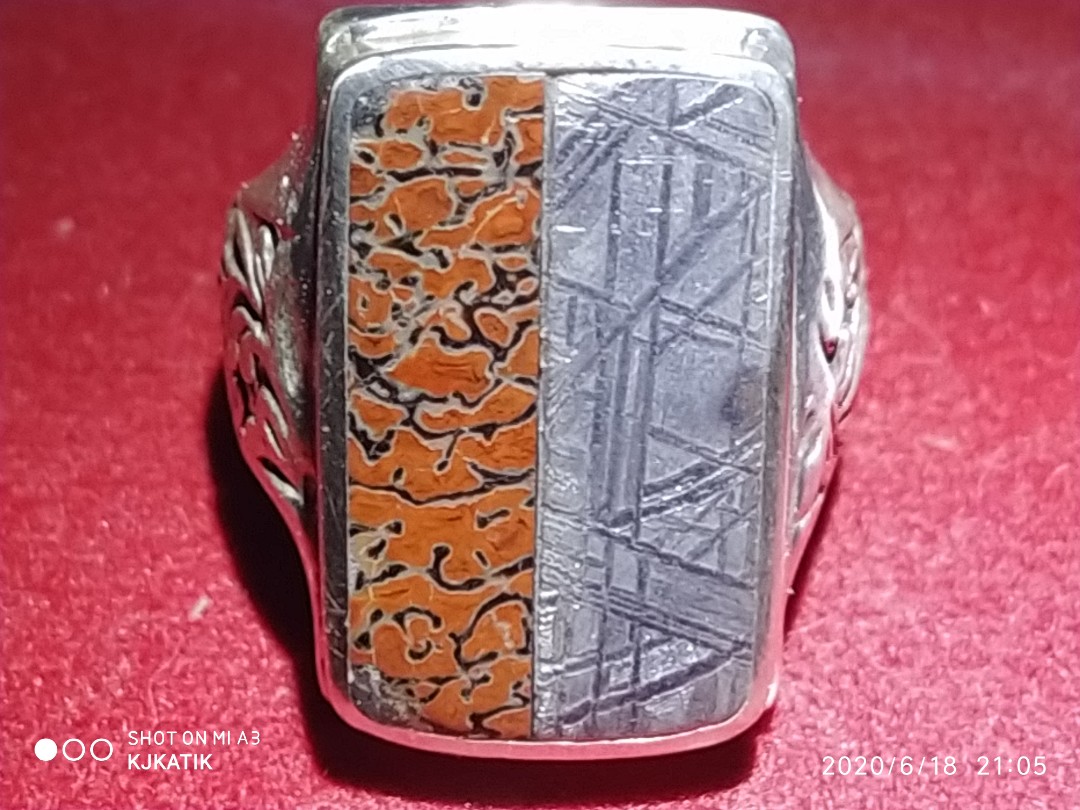 Meteorite with dinosaur Fossil, Men's Fashion, Watches & Accessories ...