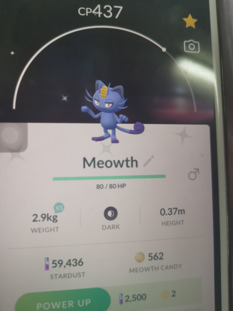Pokemon Go shiny alolan meowth, Video Gaming, Gaming Accessories, Game ...