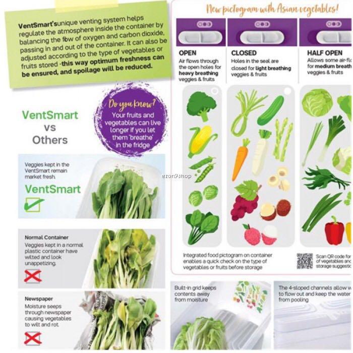 Tupperware Ventsmart Large, Home Appliances, Kitchenware on Carousell