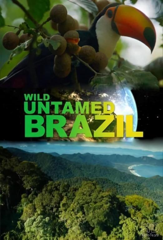 BRAZIL UNTAMED [SEASON 1], Hobbies & Toys, Music & Media, CDs & DVDs on Carousell