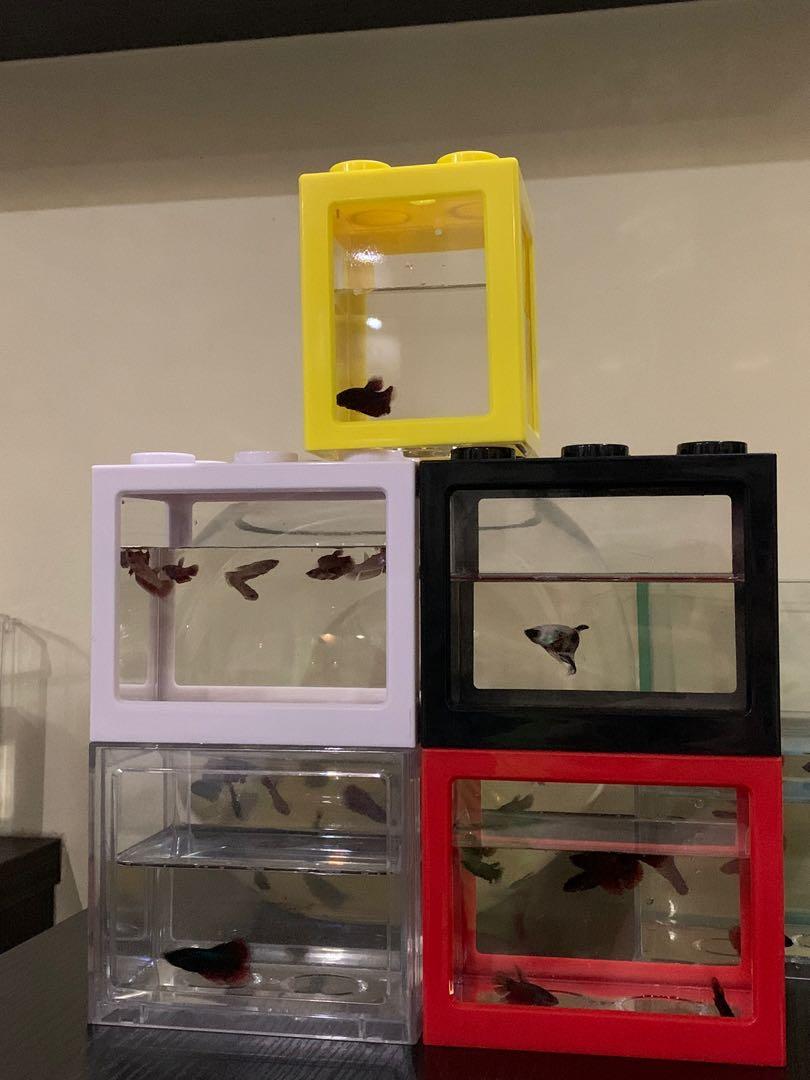 LEGO Tank betta Set, Pet Supplies, Homes & Other Pet Accessories on ...