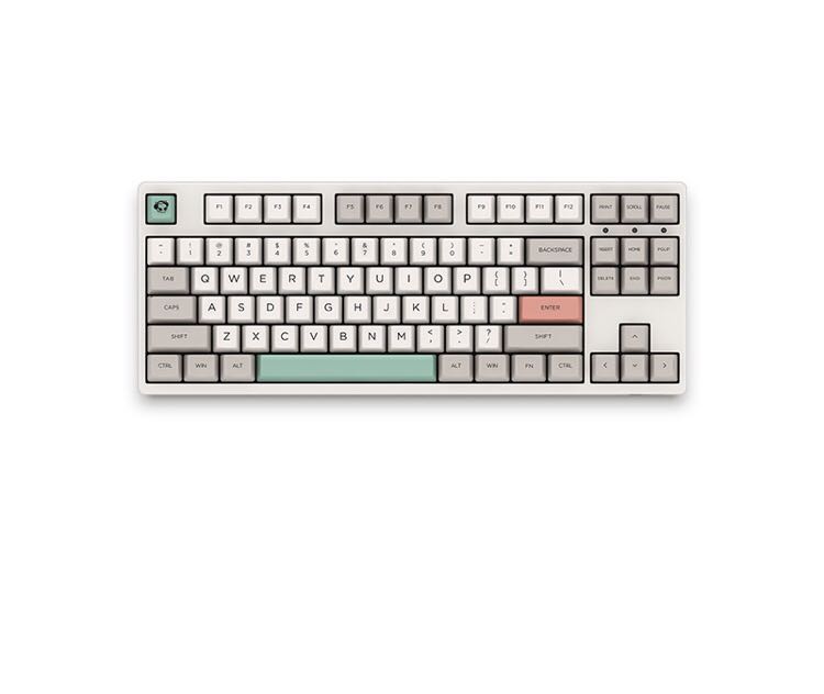 Akko Retro 9009 87 keys Wired Mechanical Keyboard (red switches ...