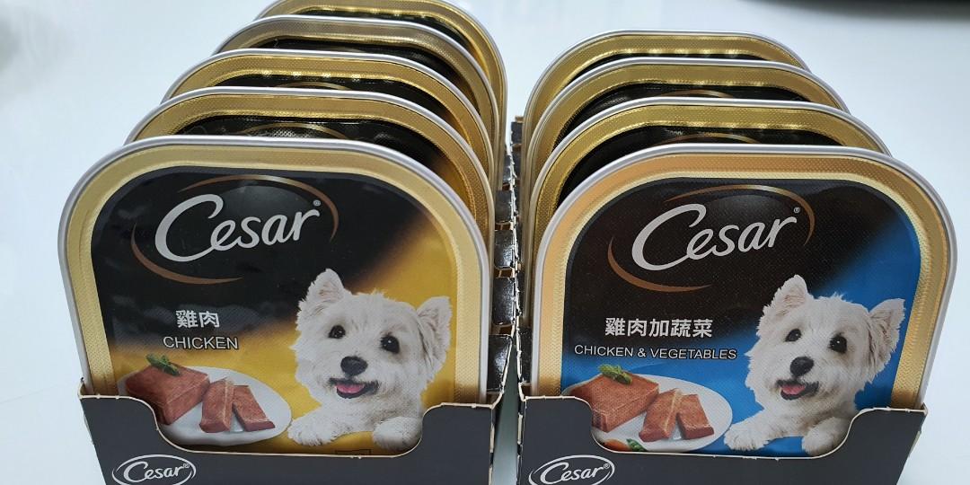 Cesar Can Food for Dog, Pet Supplies, Pet Food on Carousell