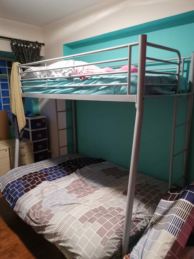 Courts Bunk bed, Furniture & Home Living, Furniture, Bed Frames ...