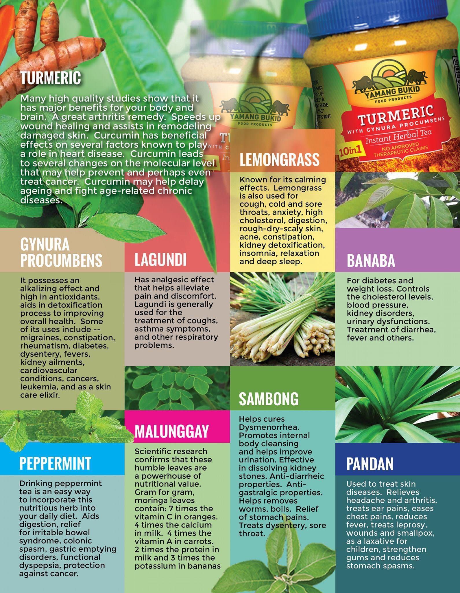 Turmeric with Gynura Procumbens 10 in 1 Herbal Tea 400g, Health ...