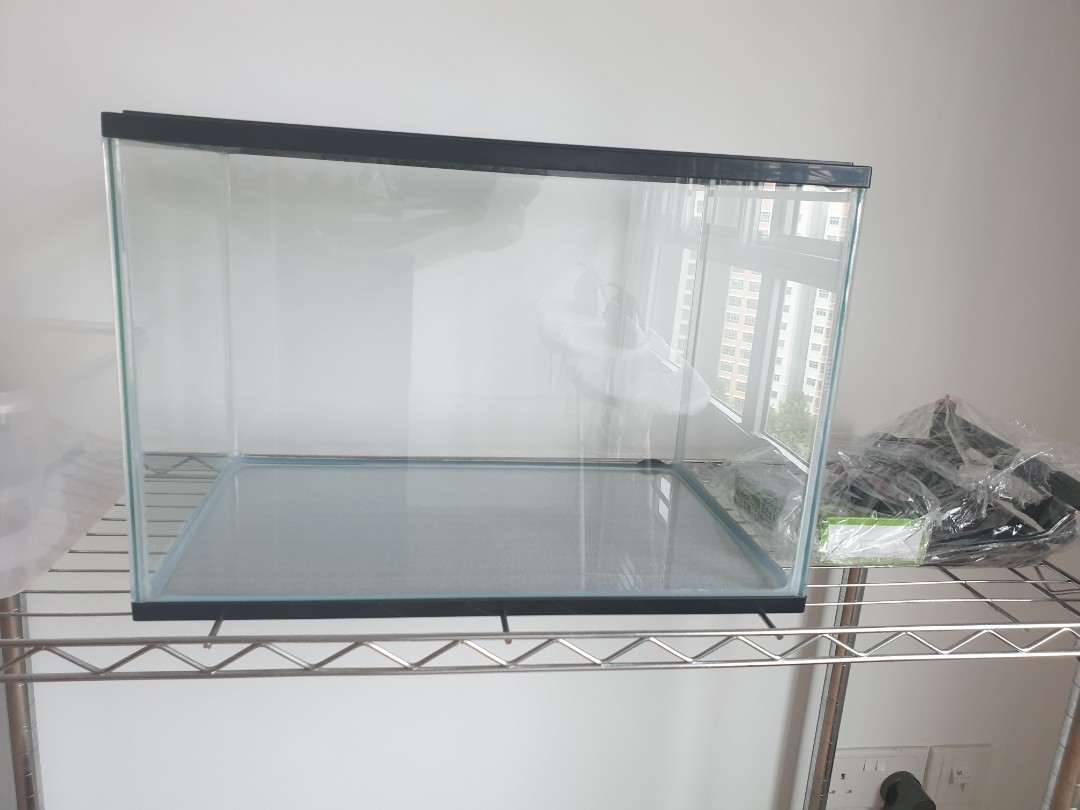 Acrylic fish tank with HOB filter and cover, Pet Supplies, Homes ...