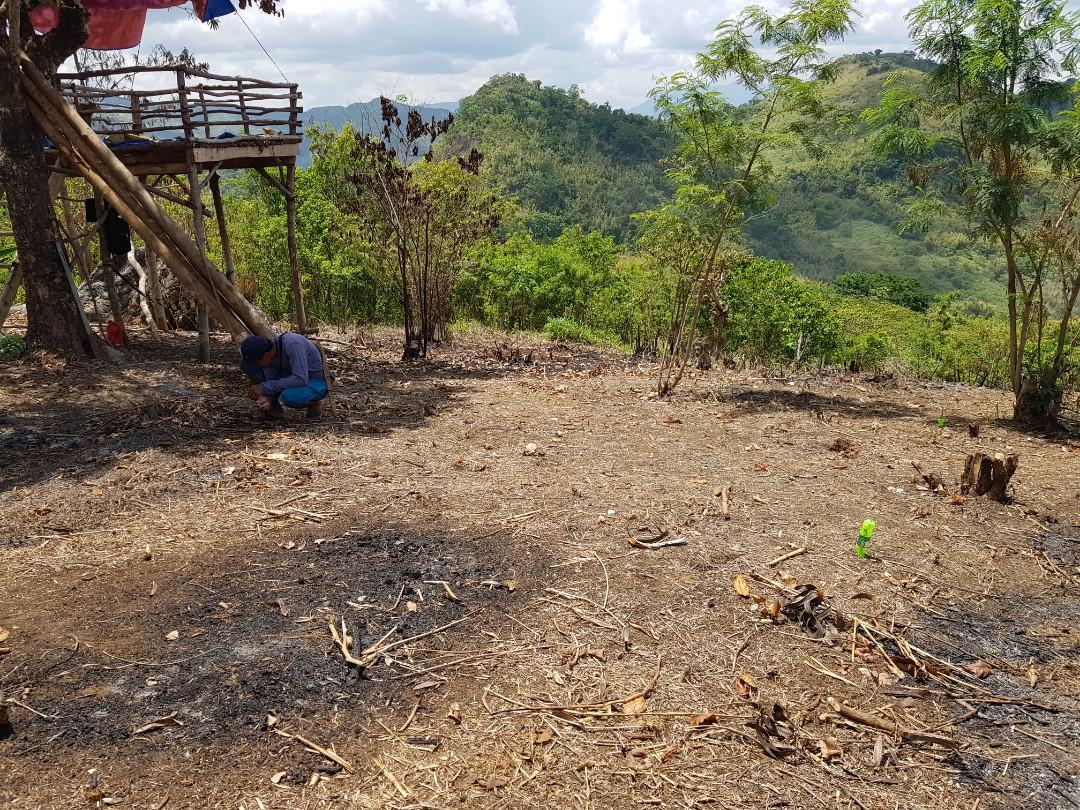 Tanay Farm lot for sale, Property, For Sale, Lot on Carousell