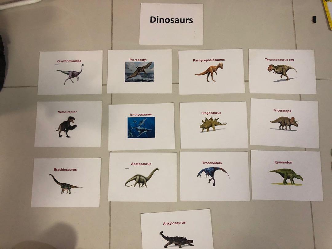 A5 Flash cards children shichida high speed flashing heguru, Hobbies ...