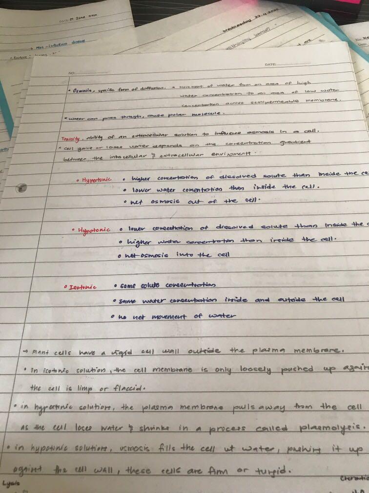 MUFY Biology Notes, Hobbies & Toys, Books & Magazines, Textbooks on ...