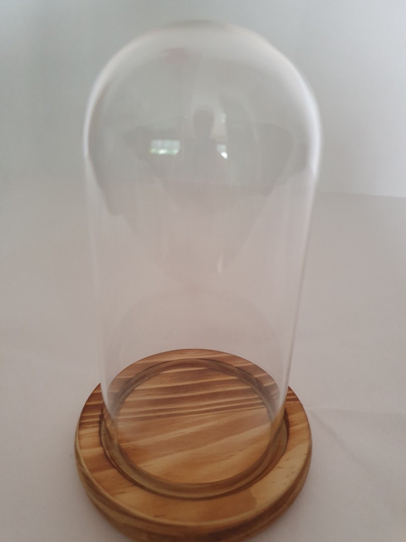 Small Glass Dome, Furniture & Home Living, Home Decor, Artificial ...