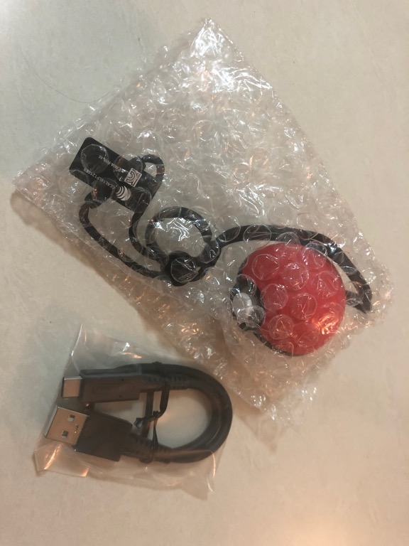 Brand New Pokeball Plus, Video Gaming, Gaming Accessories, Cases ...