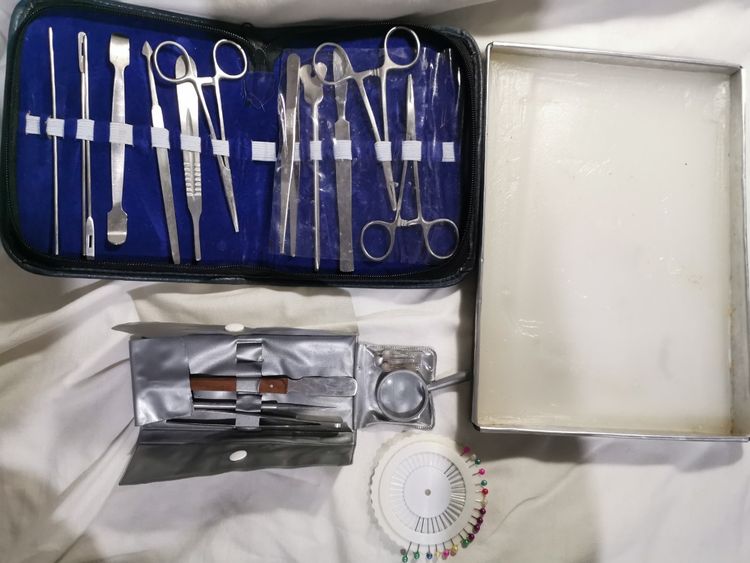 Dissecting Pan and Kit, Everything Else, Others on Carousell