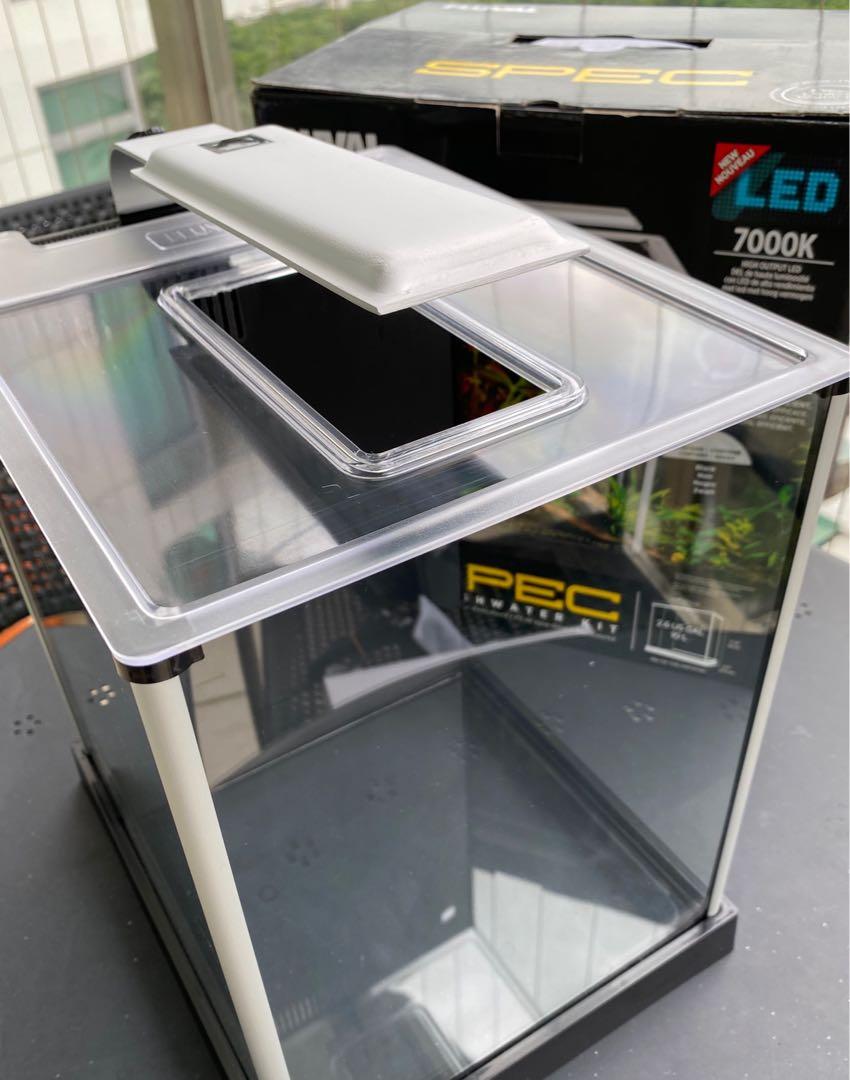 Fluval Spec Aquarium 10 litres, Pet Supplies, For Fish, Fish Tanks on ...