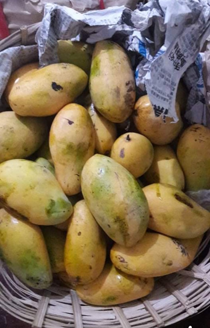 Piko/Avocado/Indian Mango, Food & Drinks, Local Eats on Carousell