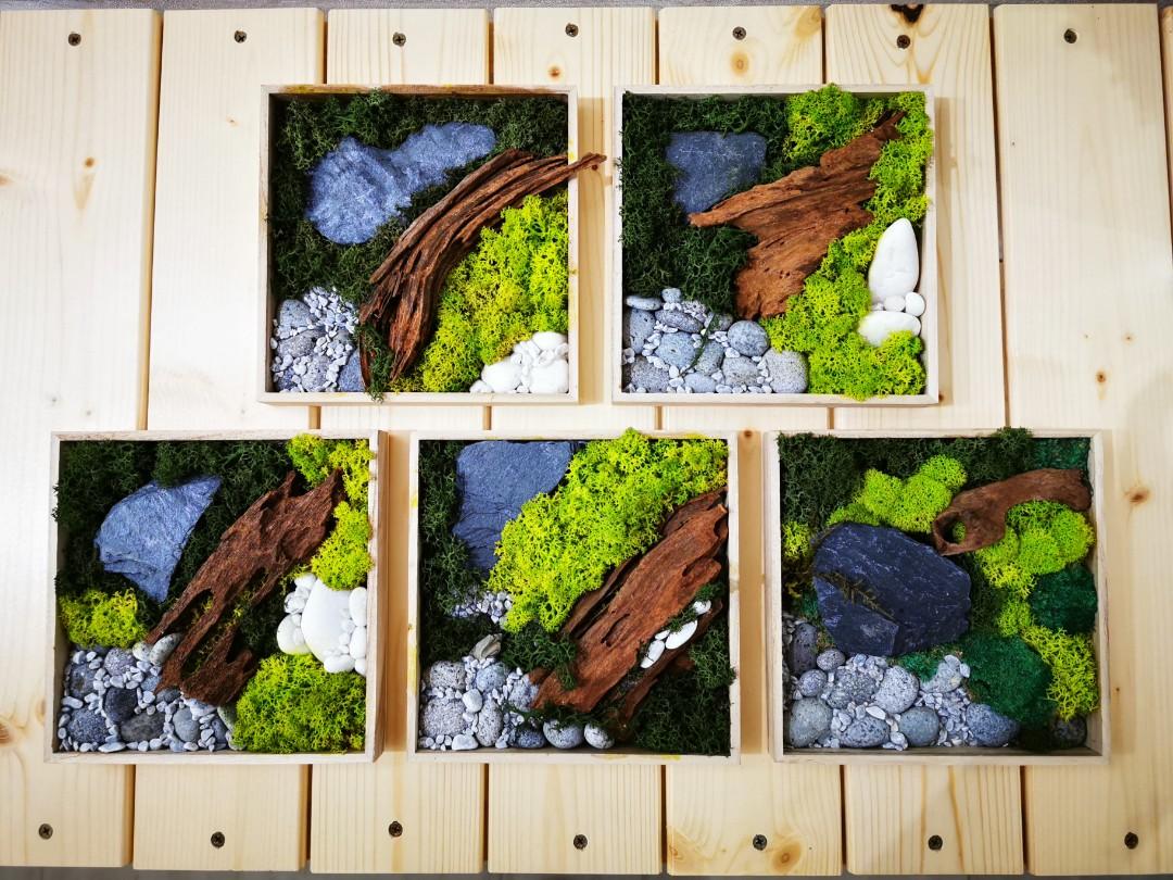 Custom-made 3D Moss Art Photoframe with Preserved Moss and Natural ...