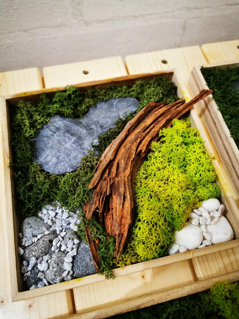 Custom-made 3D Moss Art Photoframe with Preserved Moss and Natural ...