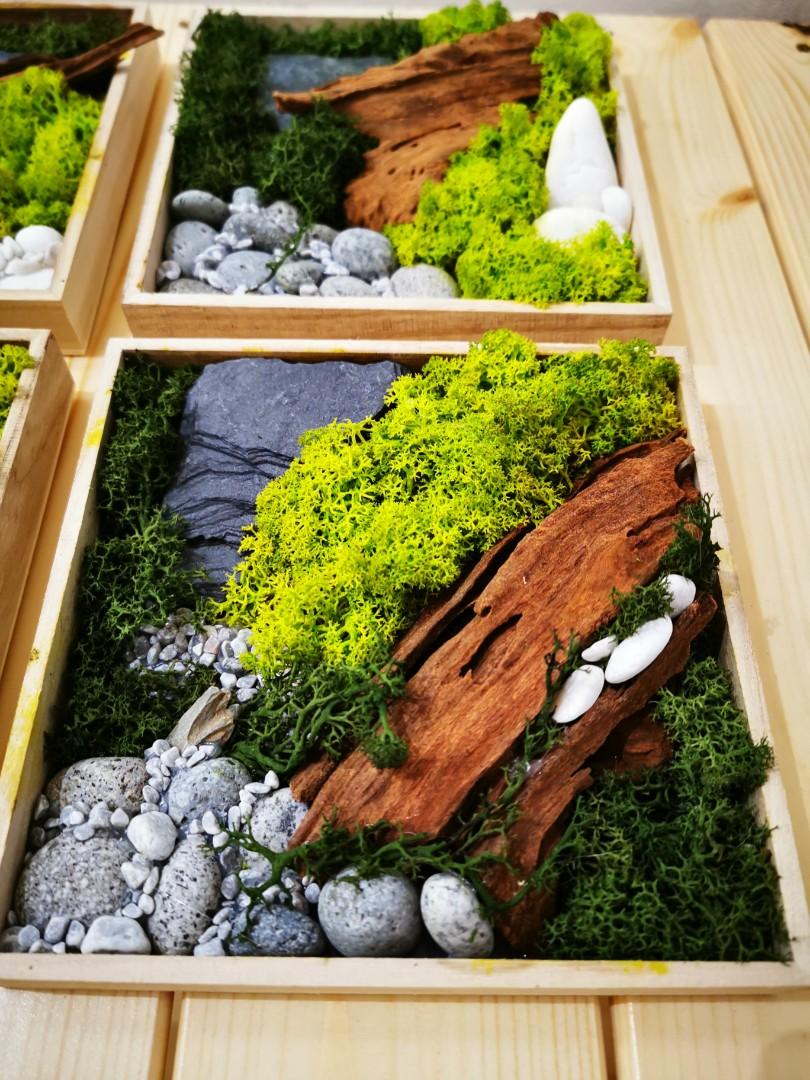 Custom-made 3D Moss Art Photoframe with Preserved Moss and Natural ...