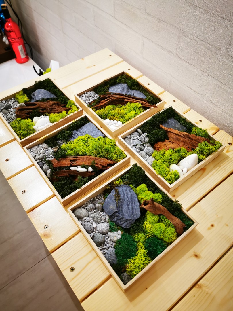 Custom-made 3D Moss Art Photoframe with Preserved Moss and Natural ...