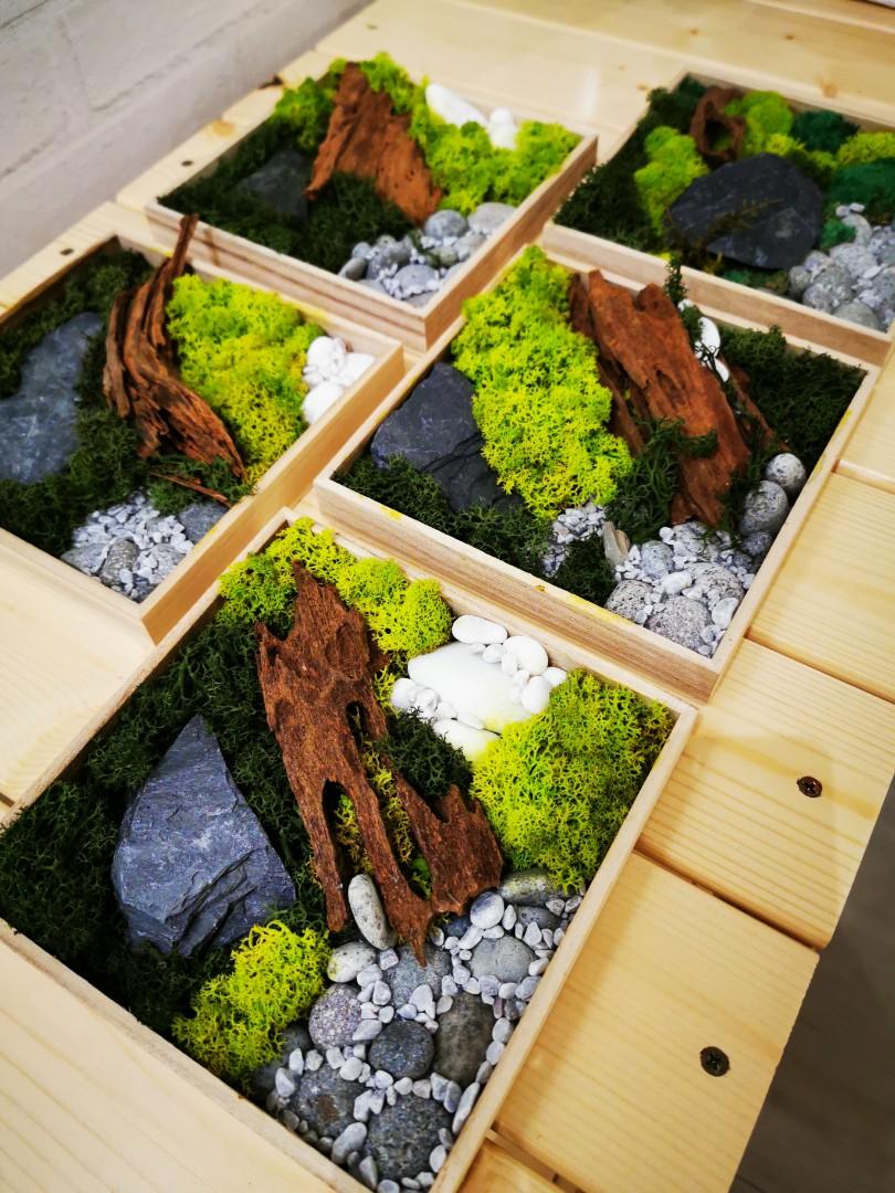 Custom-made 3D Moss Art Photoframe with Preserved Moss and Natural ...