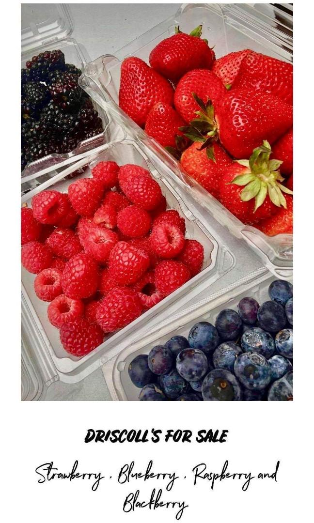 Driscoll's Fresh Berries, Food & Drinks, Fresh Produce on Carousell