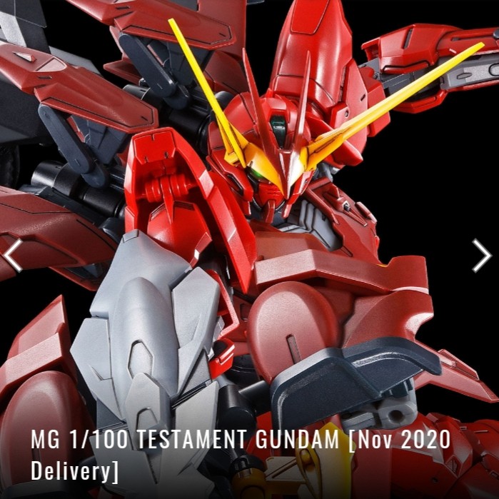MG Testament Gundam, Hobbies & Toys, Toys & Games on Carousell