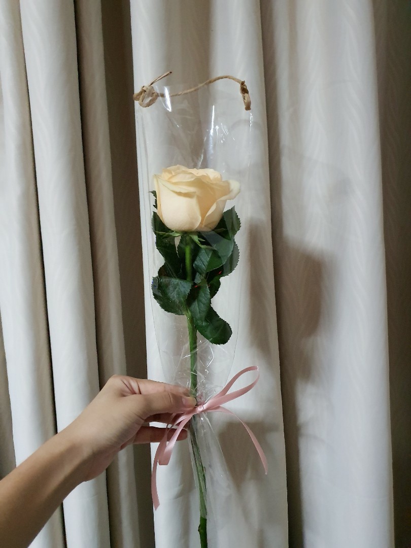 Single Stalk Rose | Graduation Gift | Flower bouquet, Hobbies & Toys ...