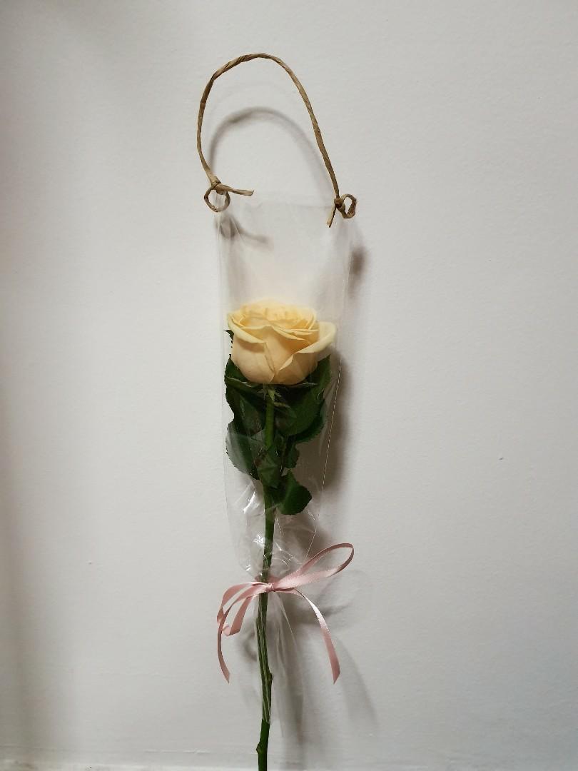 Single Stalk Rose | Graduation Gift | Flower bouquet, Hobbies & Toys ...