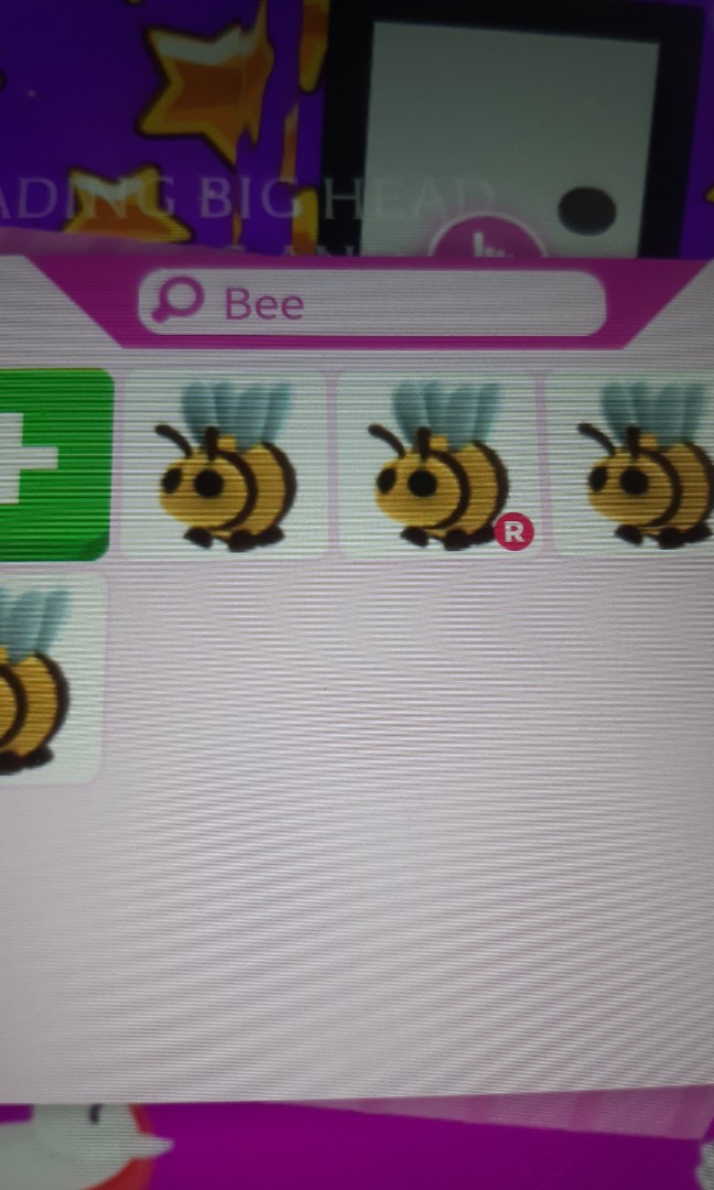 Adopt Me Bundle bee set, Hobbies & Toys, Toys & Games on Carousell