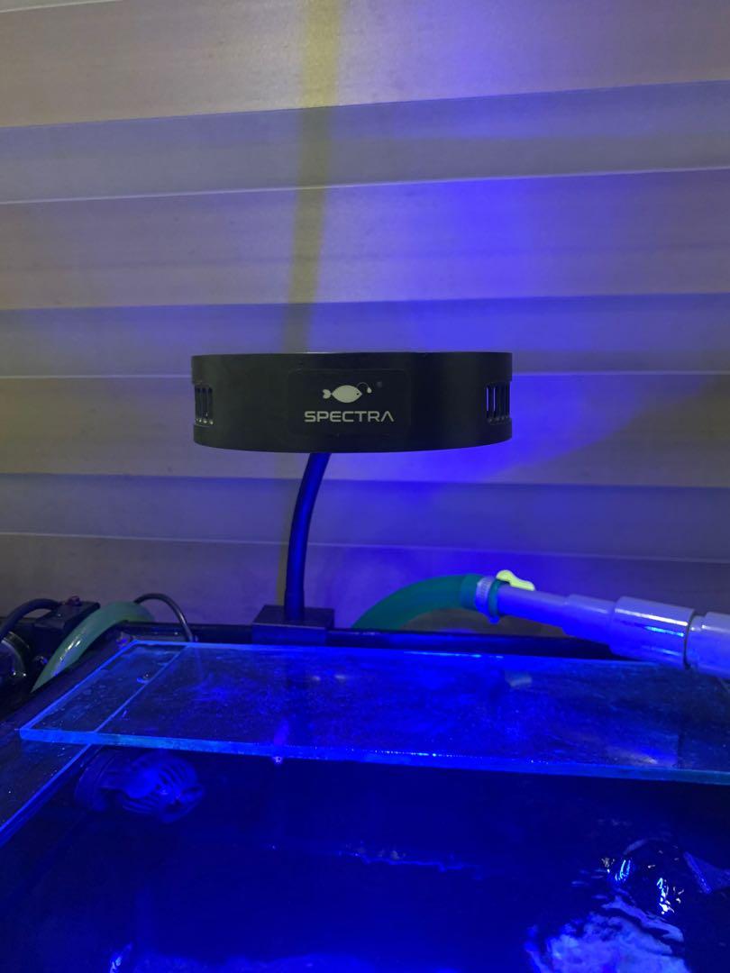 Aqua Knight V2, Pet Supplies, For Fish, Fish Tank Accessories on Carousell