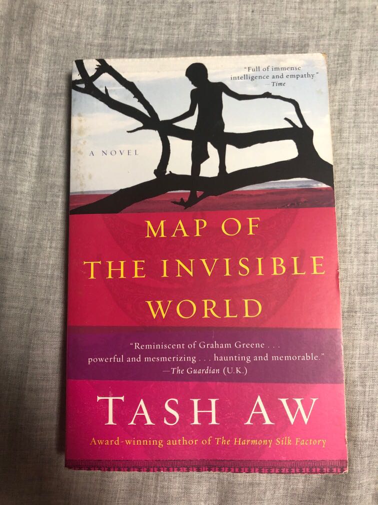 Map of the Invisible World, Books & Stationery, Fiction on Carousell