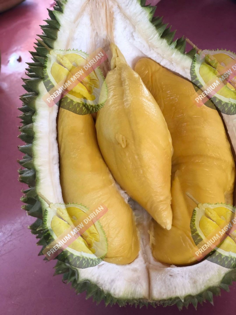 Premium MSW durian from Pahang, Food & Drinks, Packaged & Instant Food ...