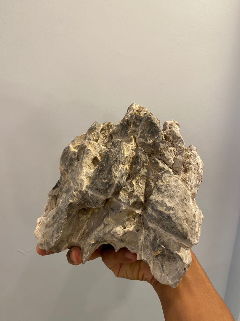 Seiryu Stone, Furniture & Home Living, Gardening, Plants & Seeds on ...