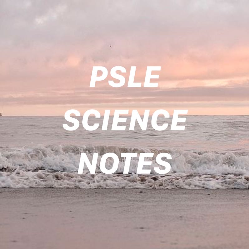 PSLE SCIENCE NOTES, Everything Else on Carousell