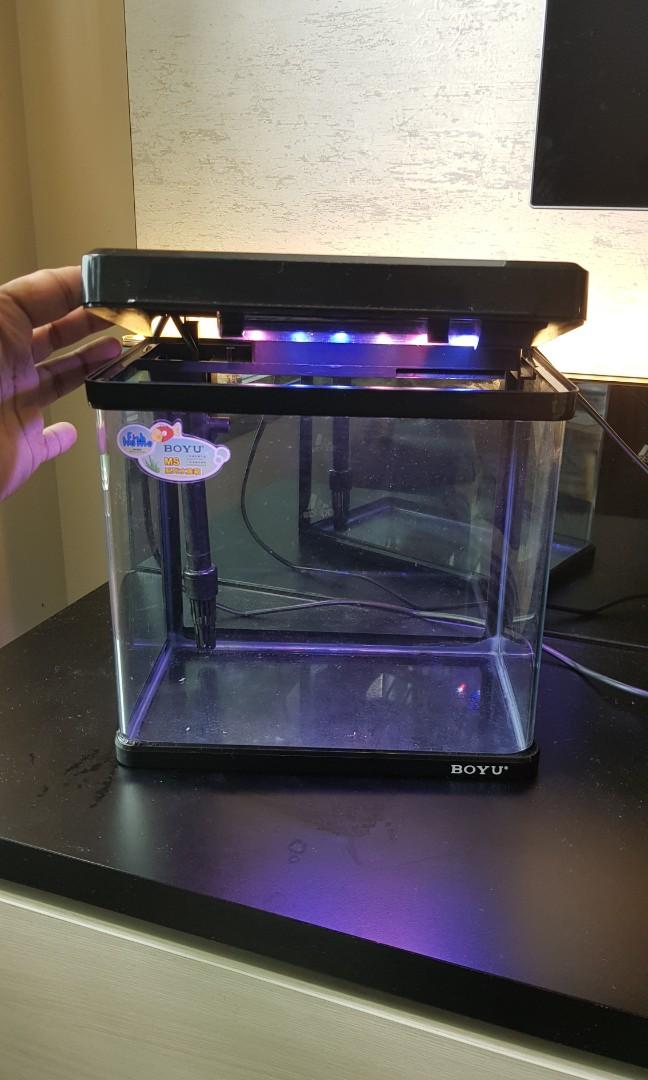 BOYU MS Series Aquarium - Fish Tank, Pet Supplies, Homes & Other Pet ...