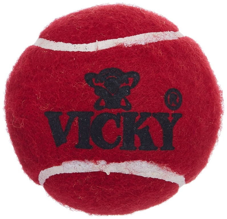 Vicky Cricket Ball, Sports, Sports & Games Equipment on Carousell