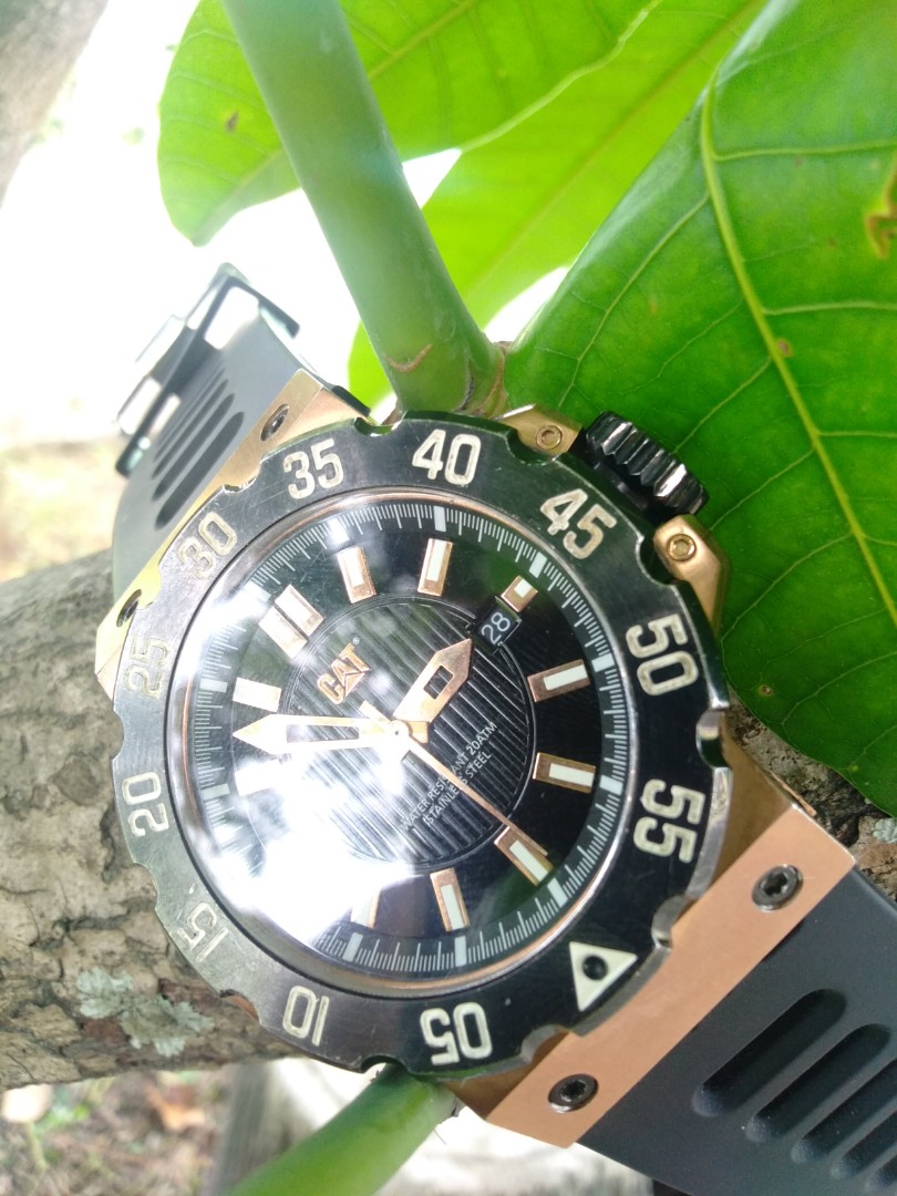 Caterpillar watch limited edition, Men's Fashion, Watches & Accessories ...