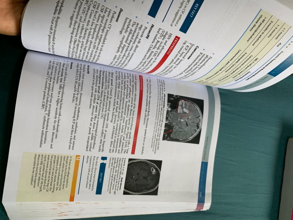 USMLE STEP 2 CK 2019 CLINICAL KNOWLEDGE, Hobbies & Toys, Books ...