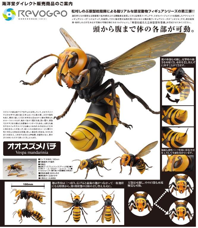 [預訂優惠] [日版] 海洋堂 山口式 大虎頭蜂 可動生物 黃蜂 18cm [入會減$10] Kaiyodo REVO GEO Vespa mandarinia [9-10月] [男魂] [可 ...