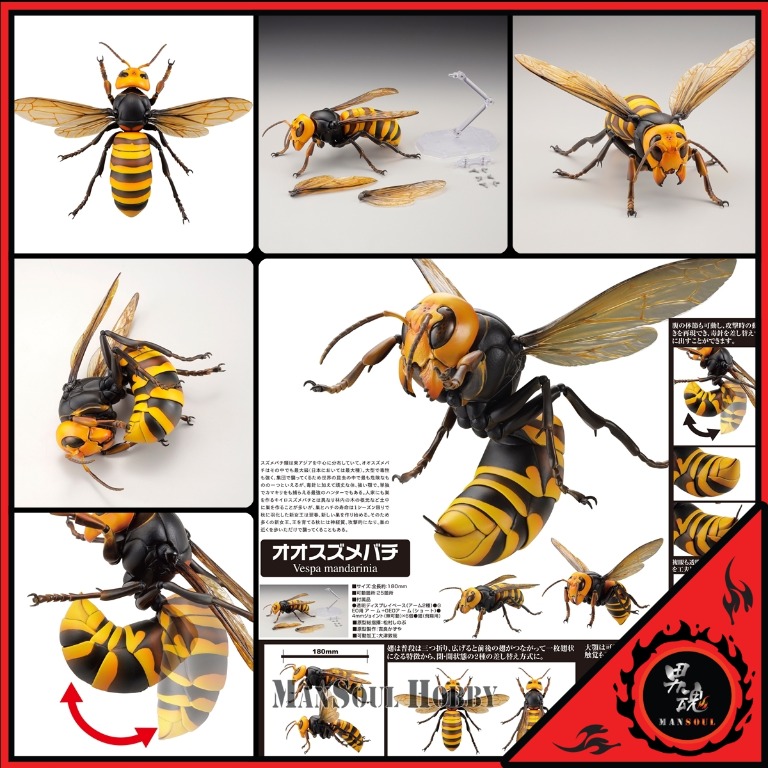 [預訂優惠] [日版] 海洋堂 山口式 大虎頭蜂 可動生物 黃蜂 18cm [入會減$10] Kaiyodo REVO GEO Vespa mandarinia [9-10月] [男魂] [可 ...