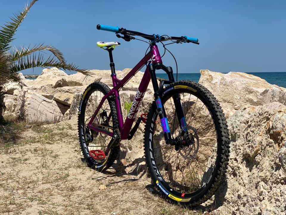 💯🆕(Custom Build by Order) DA BOMB 2020 SENTINEL 27.5+/29er Boost Frame ...