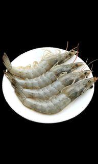 sugpo - View all sugpo ads in Carousell Philippines