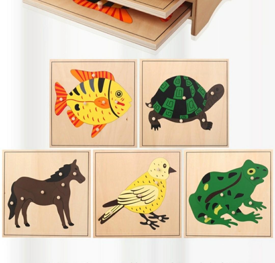 Montessori Sensorial Puzzles (Animals/Insects/Plants), Hobbies & Toys ...