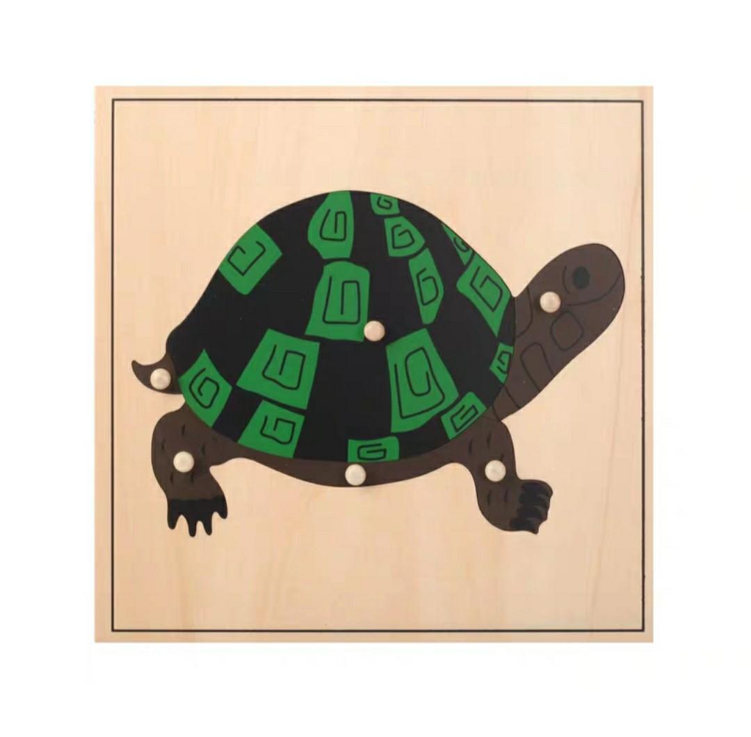 Montessori Sensorial Puzzles (Animals/Insects/Plants), Hobbies & Toys ...