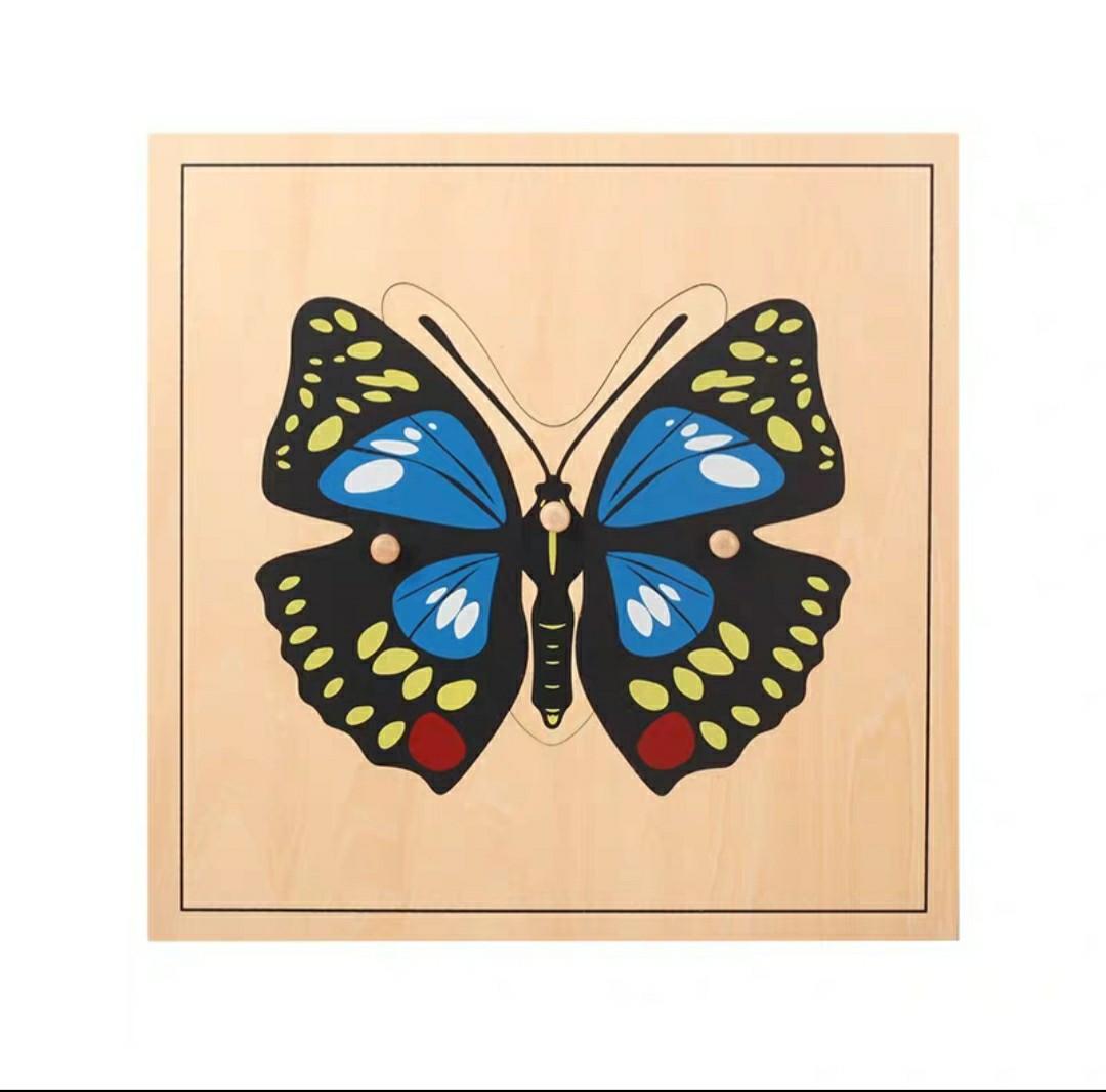 Montessori Sensorial Puzzles (Animals/Insects/Plants), Hobbies & Toys ...