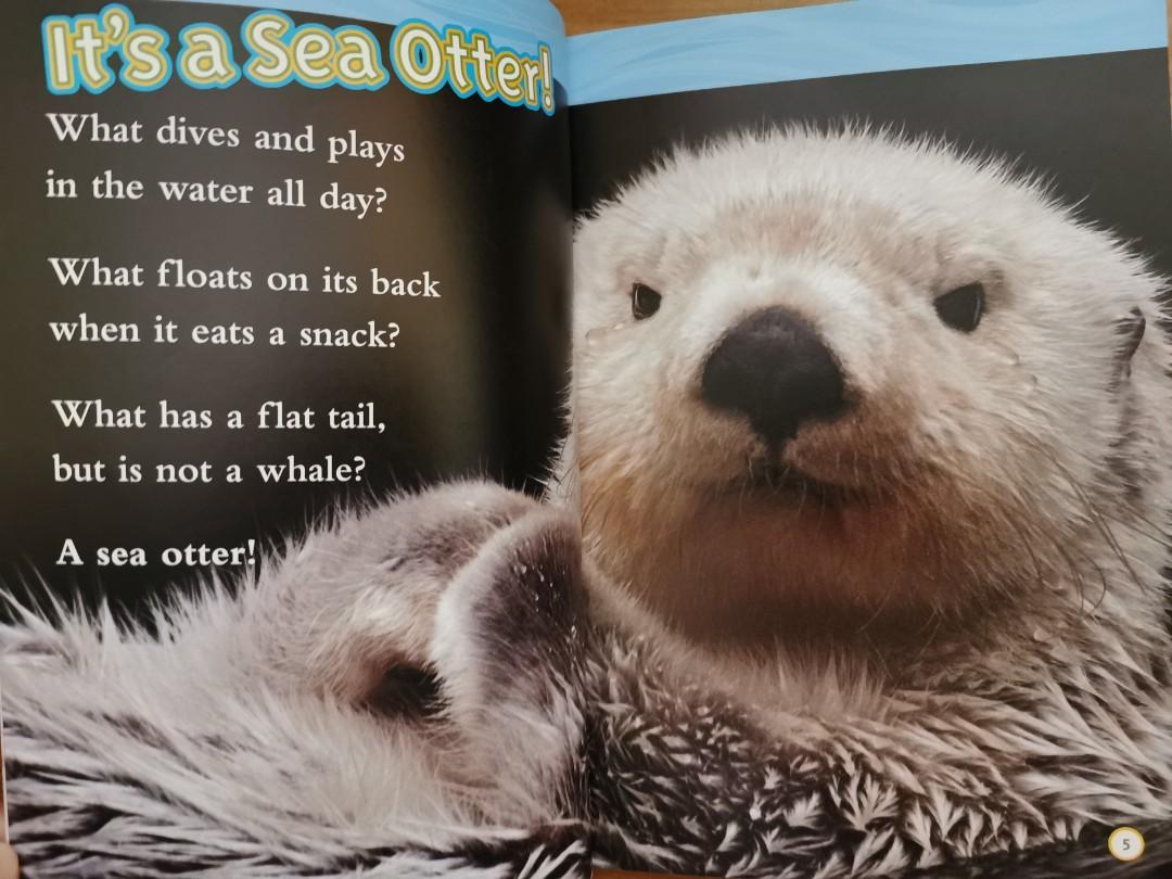 National Geographic Kids - Ocean Animals Collection (Sea Otters ...