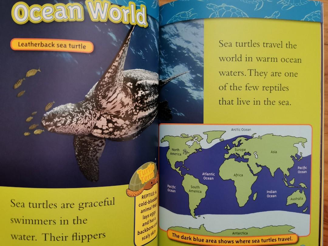 National Geographic Kids - Ocean Animals Collection (Sea Otters ...