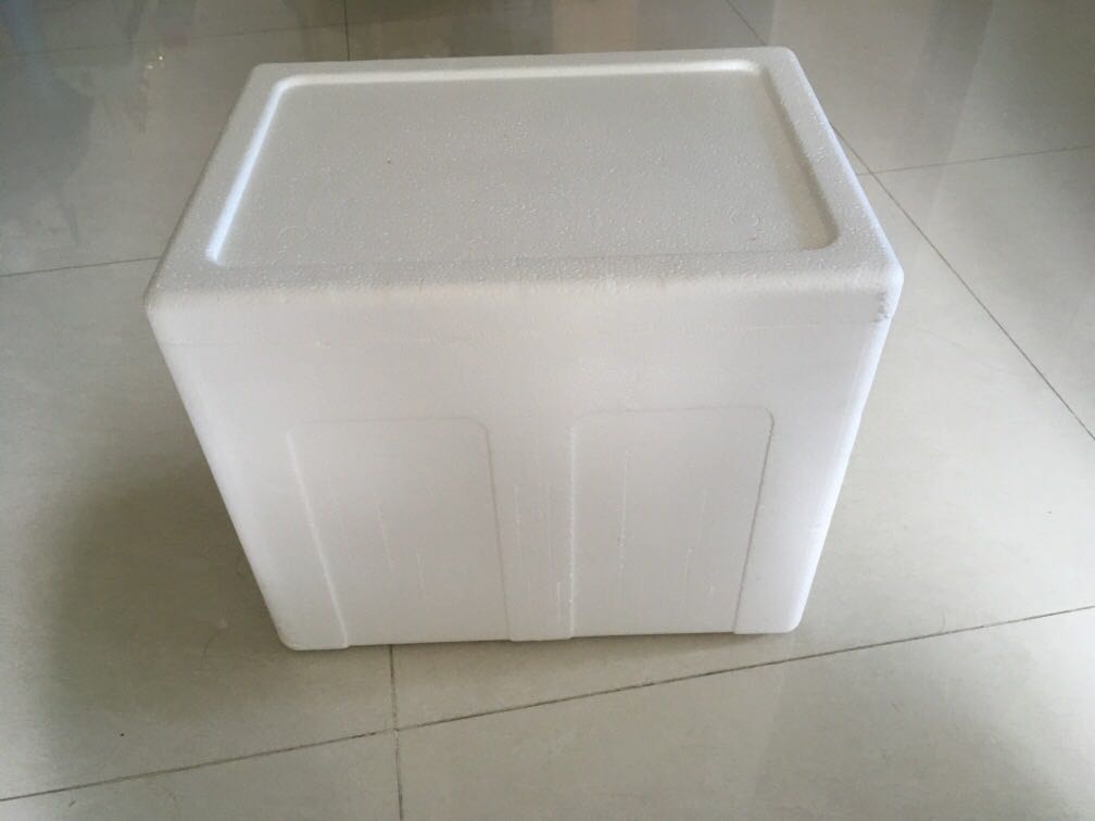 Styrofoam Storage Box, Everything Else on Carousell