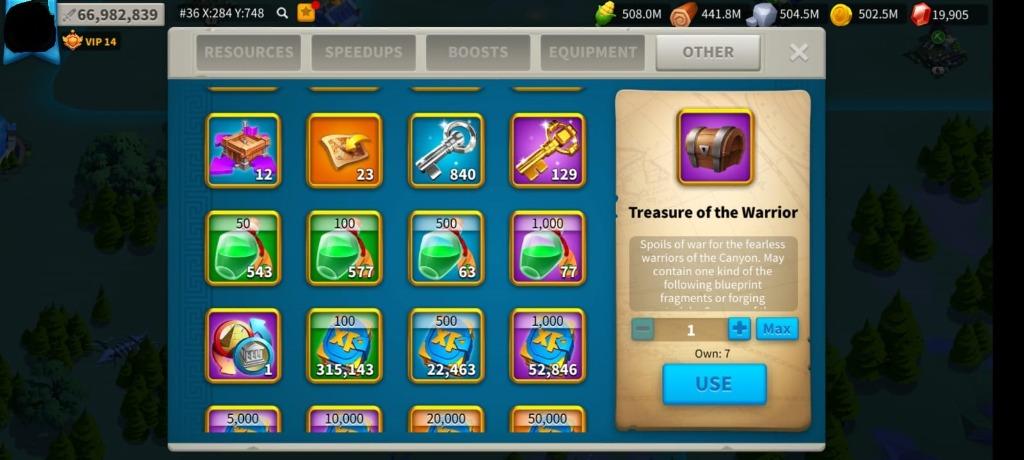 Rise of Kingdoms VIP 14, Video Gaming, Gaming Accessories, Game Gift ...