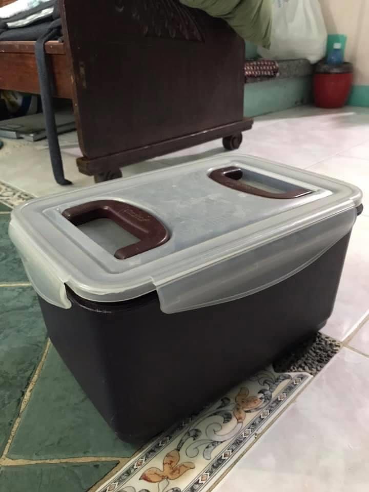 dimchae container / kimchi container, Food & Drinks, Spice & Seasoning ...