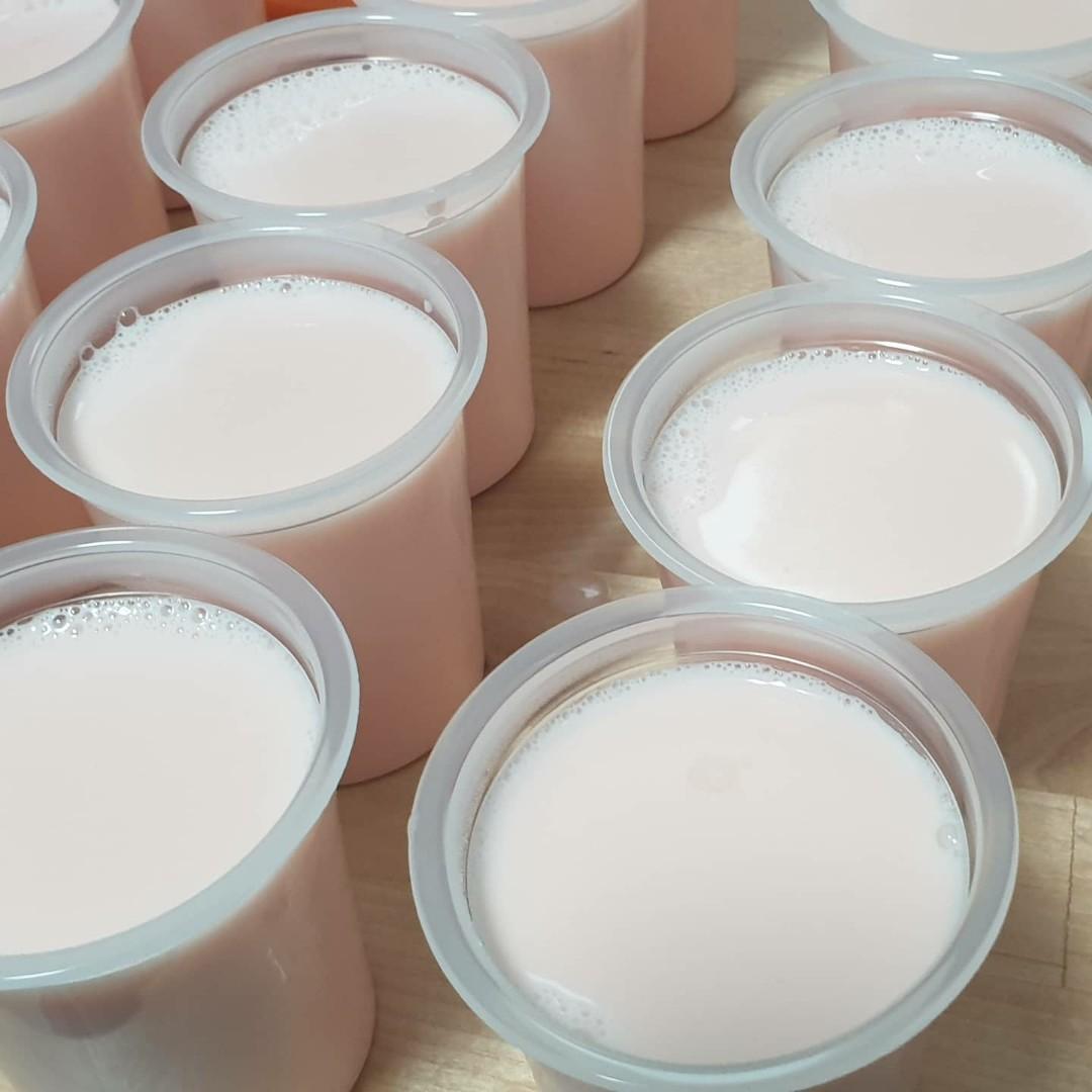 Signature Dadih/Beancurd Pudding, Food & Drinks, Packaged & Instant ...